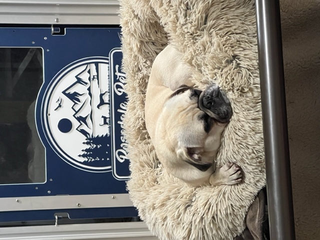 Rosedale Pet Resort, Washington - Gator Kennels