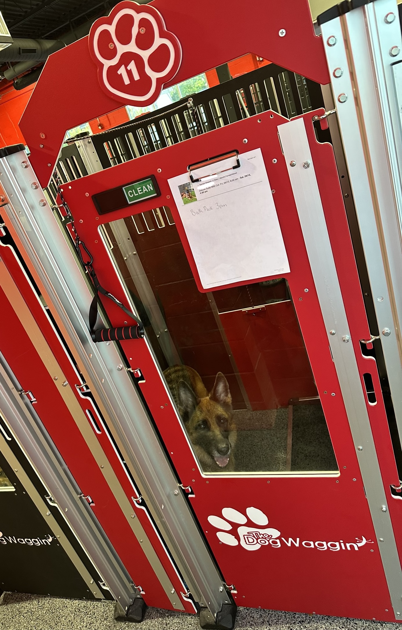 The Dog Waggin', Illinois - Gator Kennels