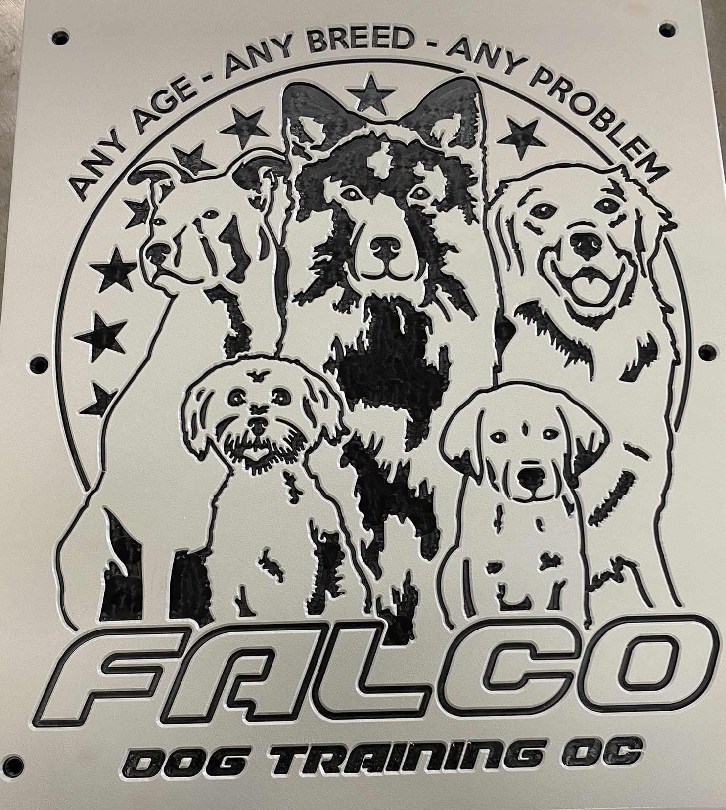 Falco Dog Training - Gator Kennels