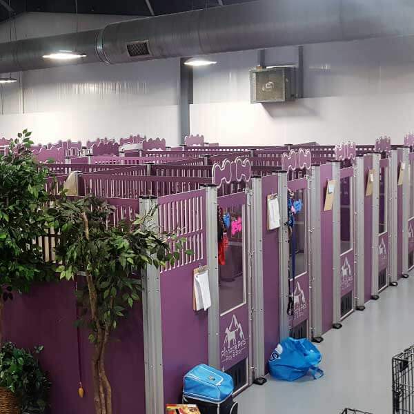 Starting Your Own Dog Daycare Or Boarding Kennel Layout Gator 