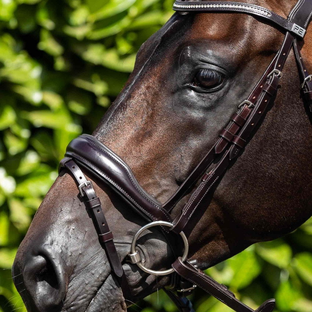 Premier Equine Cheek Pieces | Country & Stable