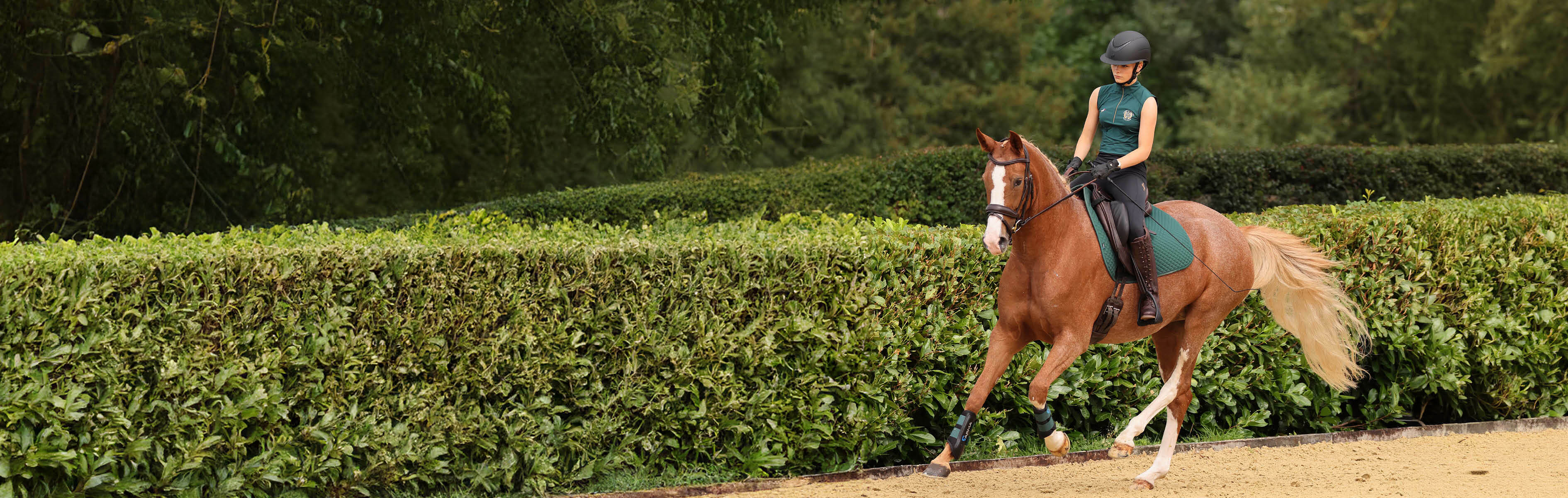 Country & Stable UK | All your equestrian supplies in one place