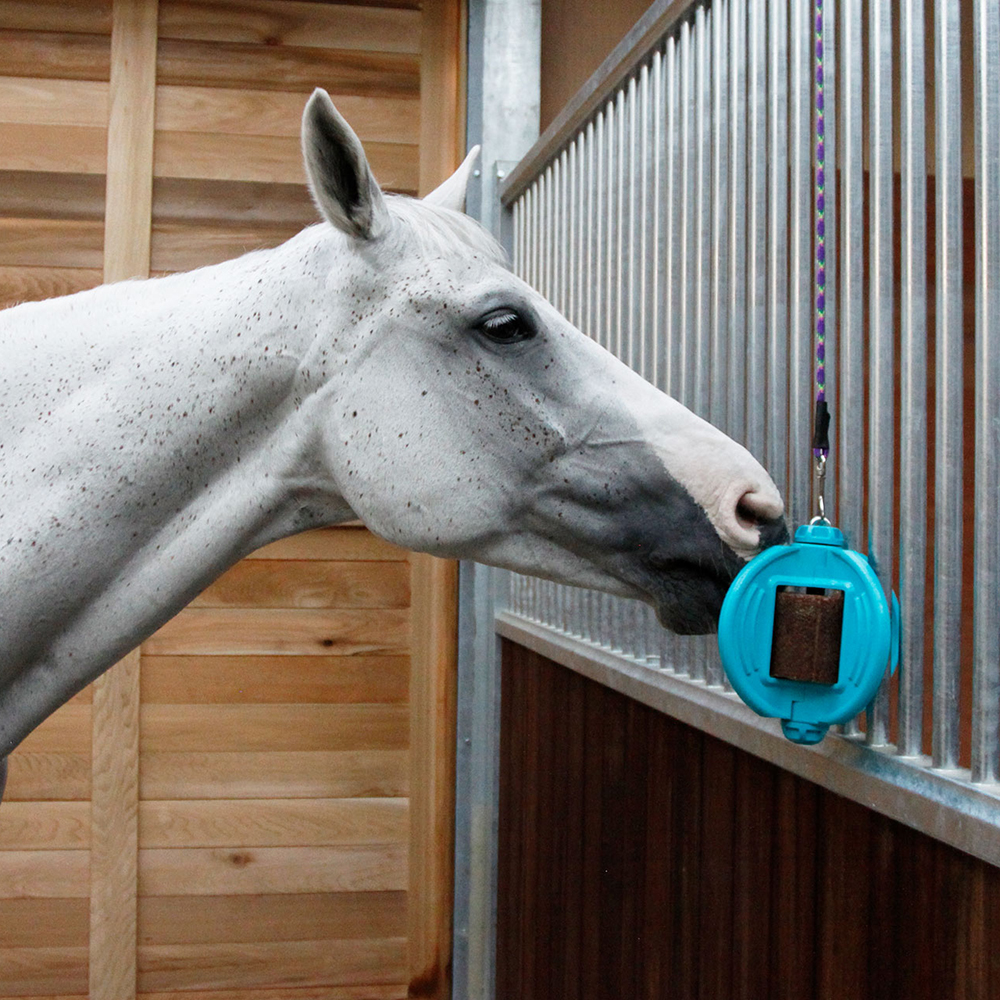 How to Keep a Stabled Horse Entertained - Country and Stable of Olney