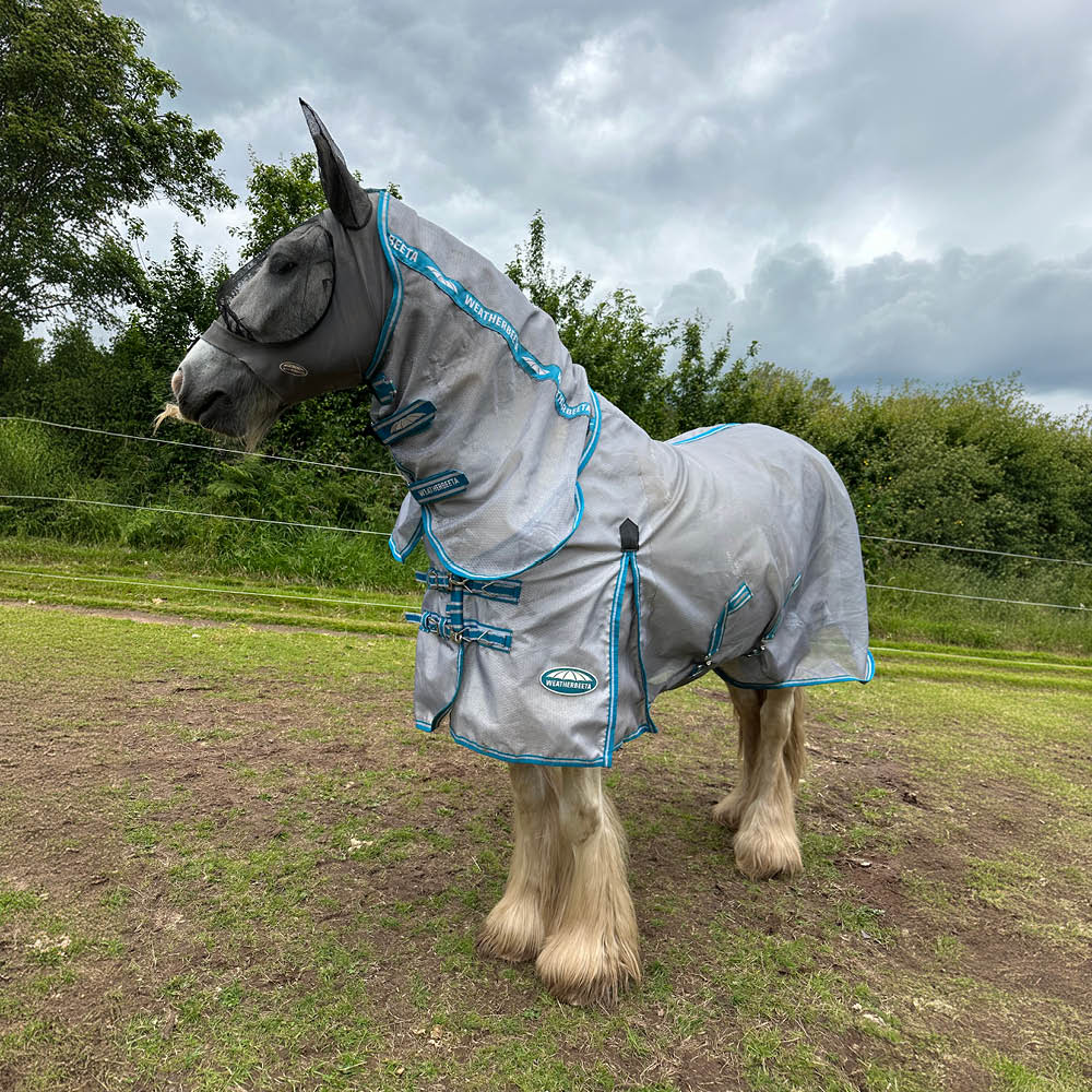 Review of the WeatherBeeta Hexi Shield Fly Rug - Country and Stable of ...