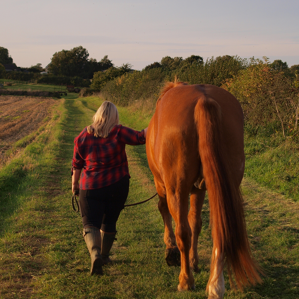 Losing a Horse: Understanding Euthanasia Options and Coping with Grief ...