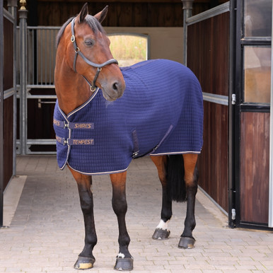 Tempest Original Tech Cooler Rug | Country & Stable