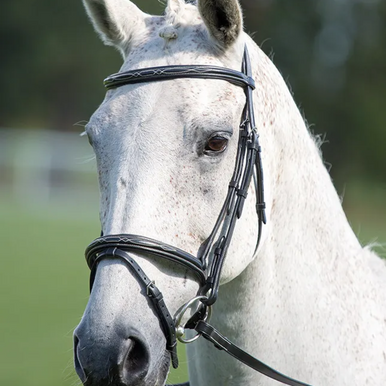 Avignon Padded Raised Flash Bridle | Clearance - Sale