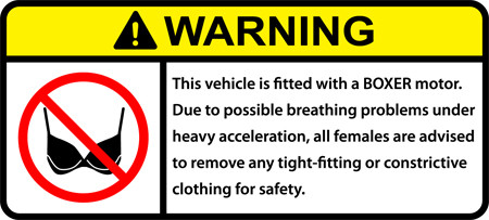Subaru Visor Warning Bra Sticker Decal