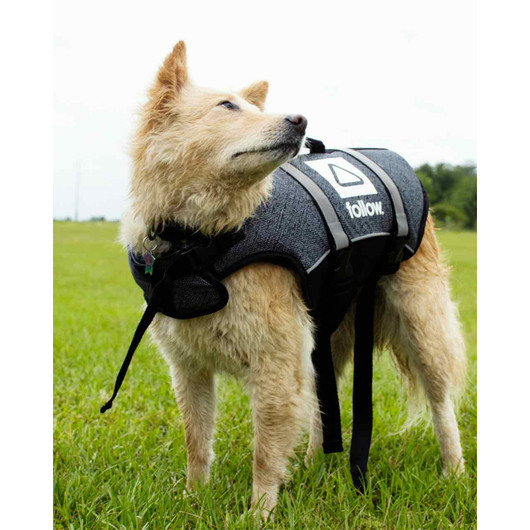 Follow Dog Floating Aid - Black | WakeHouse.com