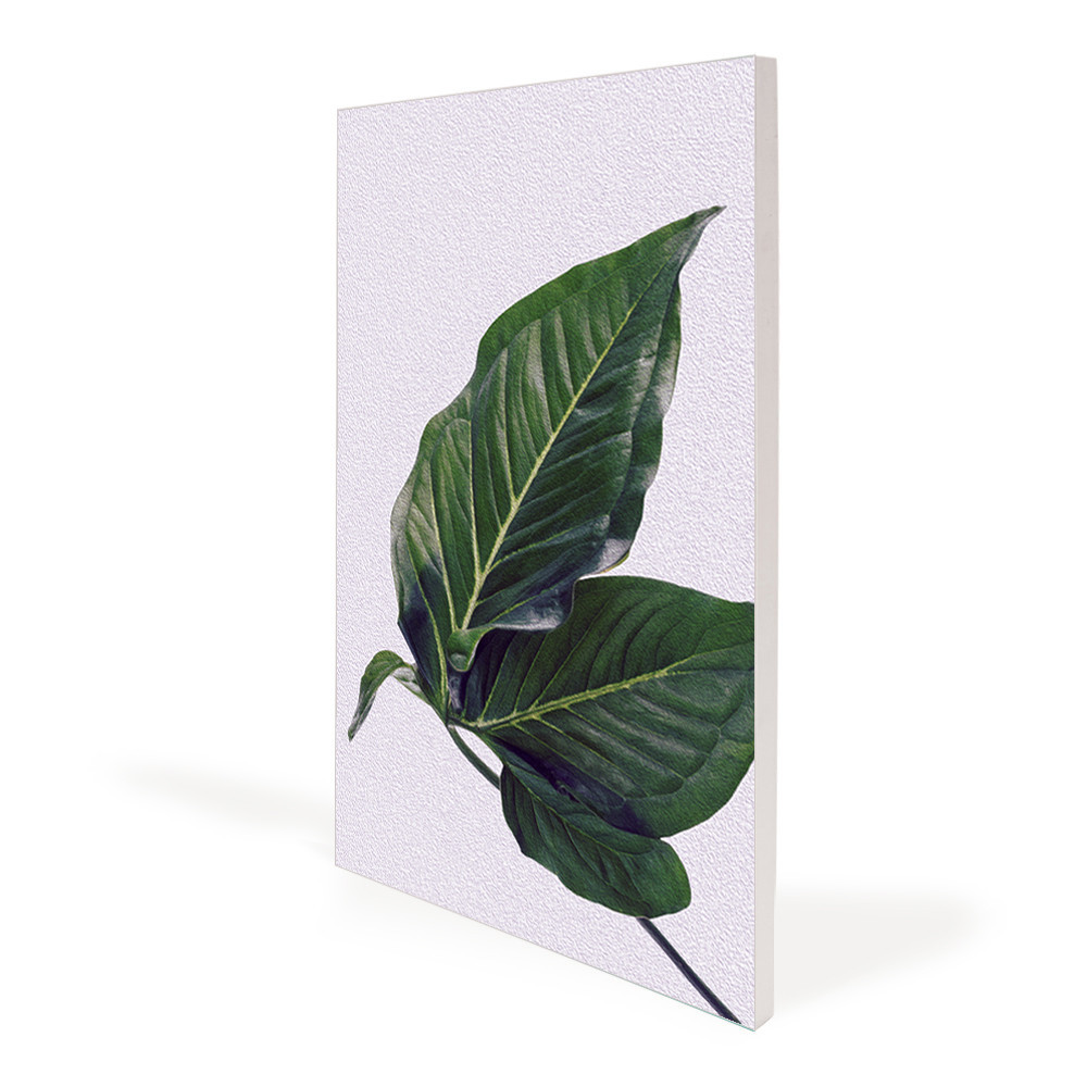22" x 22" Aspen Slim Fabric Frames - 3 Pack (Graphic Package) - GLM ...