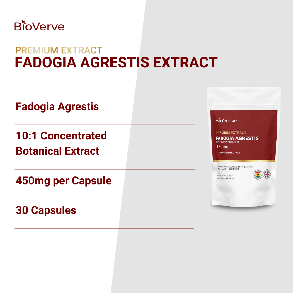 Fadogia Agrestis Extract Capsules 10:1 400mg | BioVerve