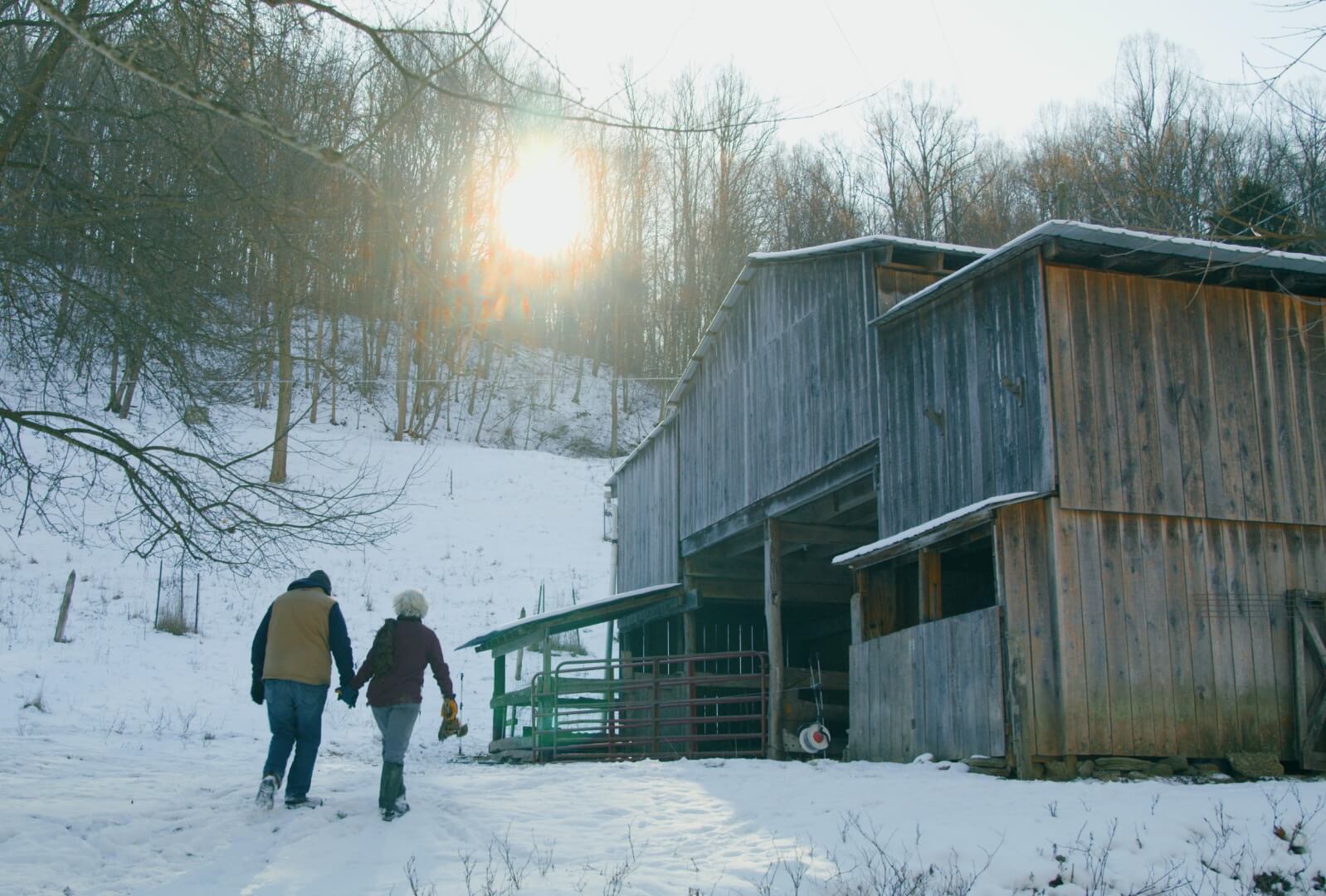 How to Get Started on Your Homestead - Warrior Poet Supply Co