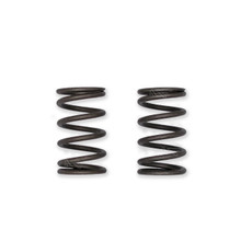 Valve Springs (Set) 76438457 - Generator Guru - Parts and Spares