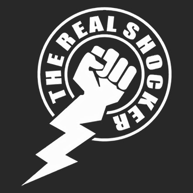 The Real Shocker Vinyl Decal Sticker - The Decal Master - Premium Decal ...