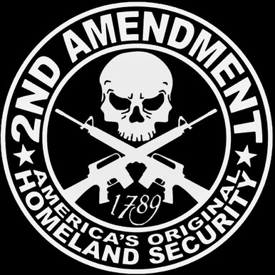 20 2nd Amendment Decal