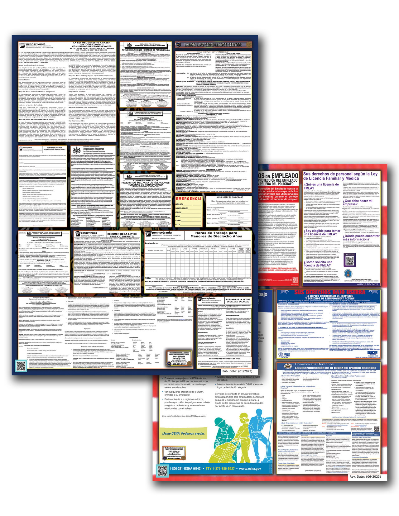 New York State and Federal Poster Set (2024)