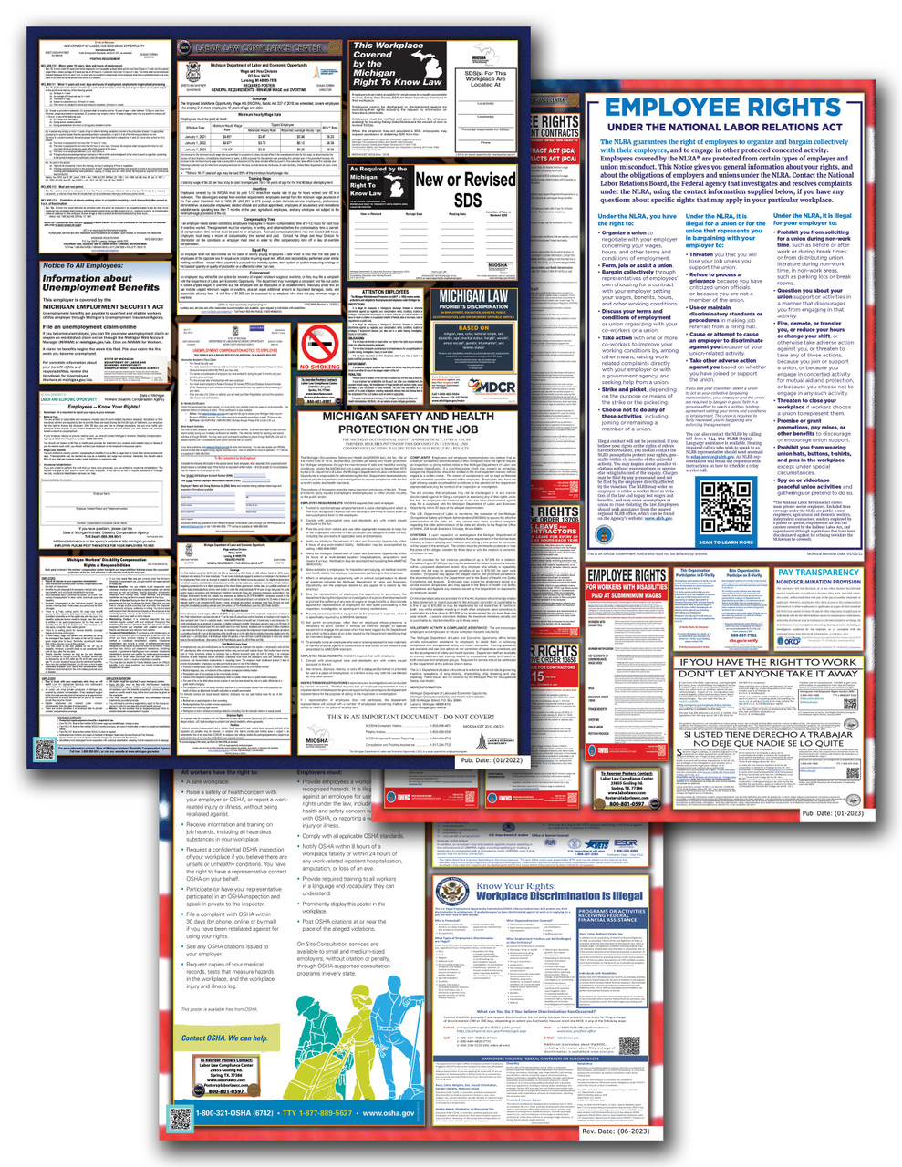 Michigan, Federal, and Federal Contractor Poster Set (2025)