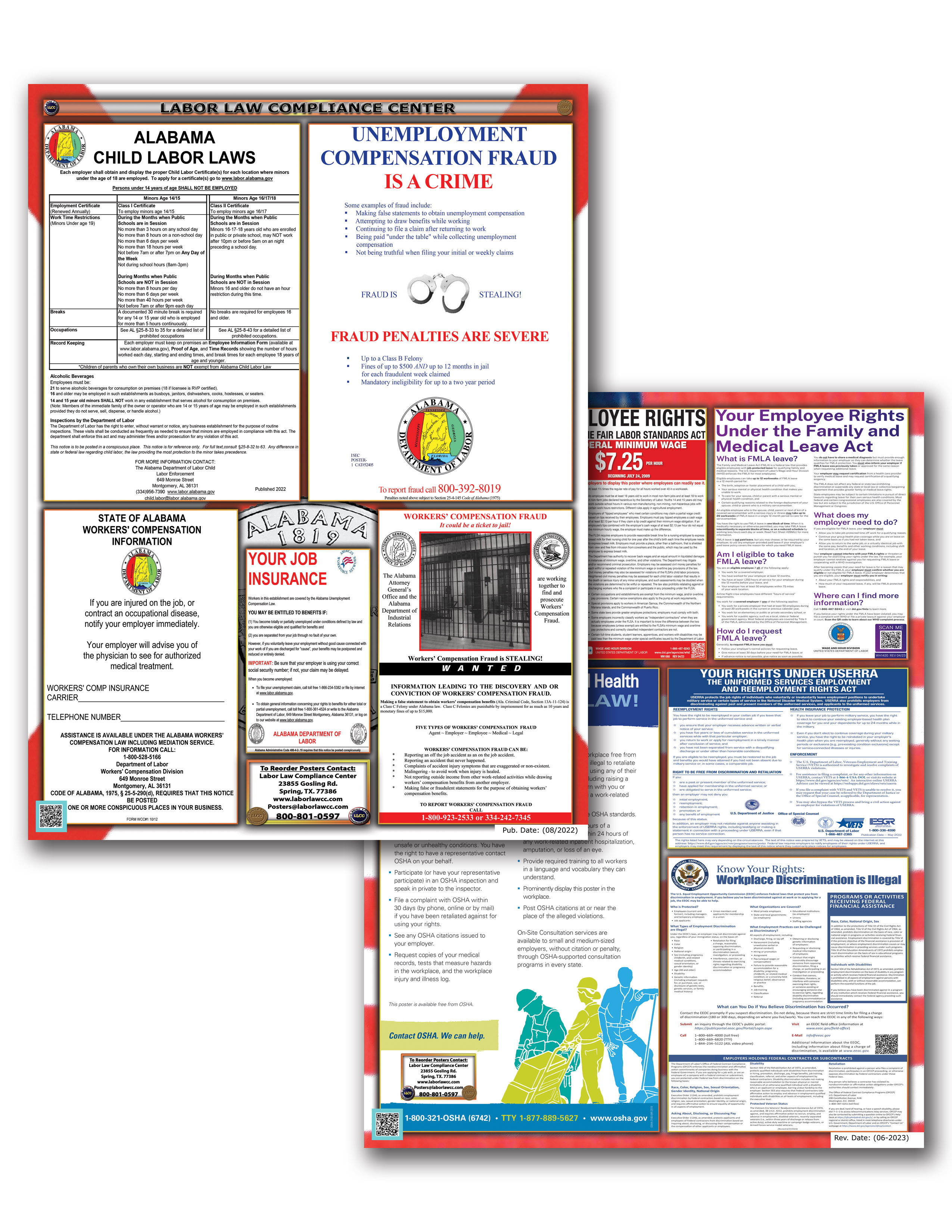 Texas State and Federal Poster Set (2024)