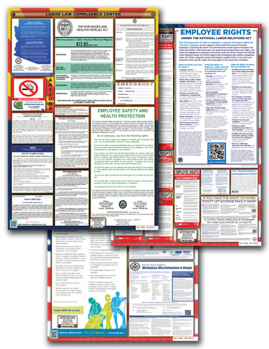 Arizona, Federal, and Federal Contractor Poster Set (2025)