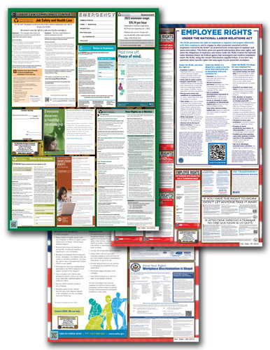 Washington, Federal, and Federal Contractor Poster Set (2025)