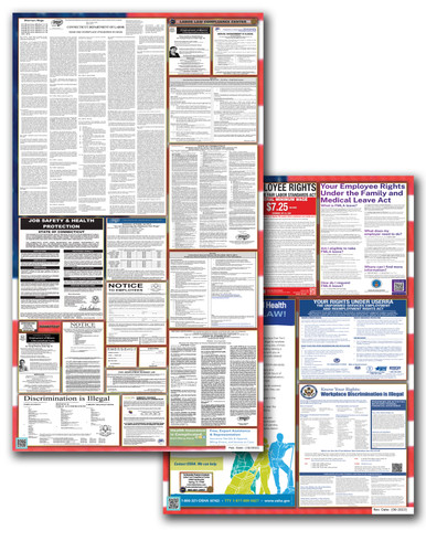 Connecticut State and Federal Poster Set (2025)