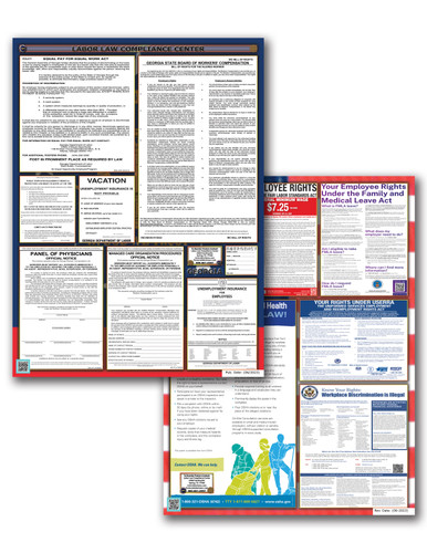 Georgia State and Federal Poster Set (2024)