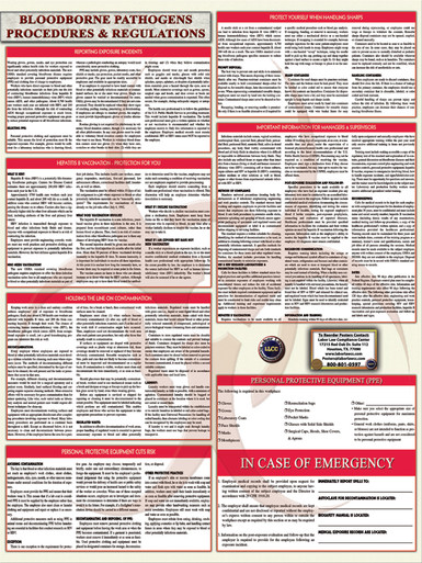 Bloodborne Pathogens Poster