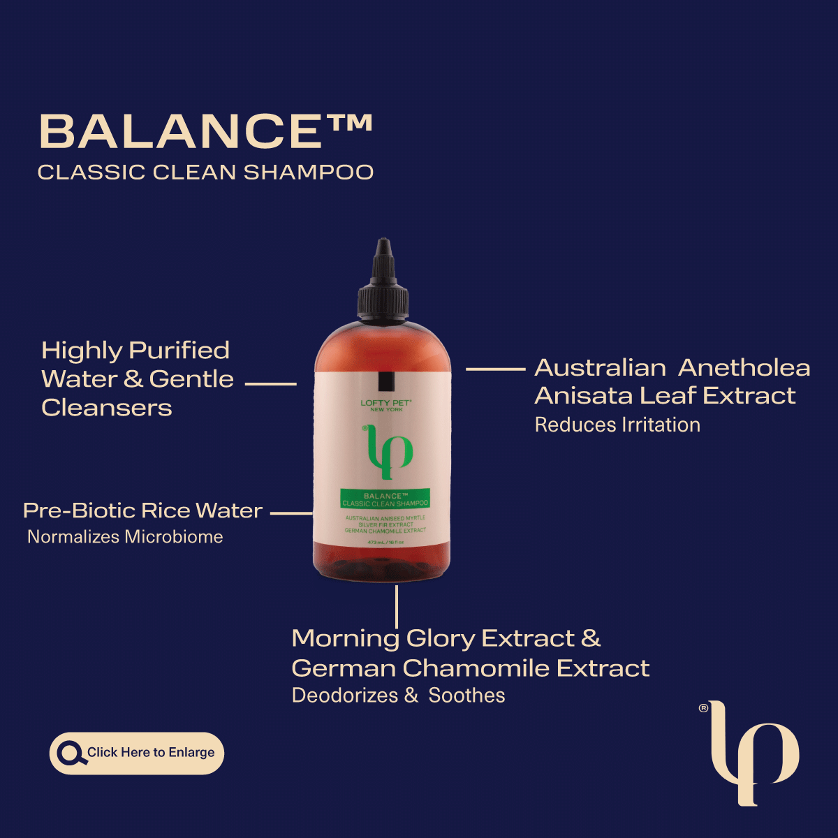 Balance Classic Clean Shampoo