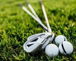 Steel vs Graphite Shafts: A Complete Guide - GolfSupport.com