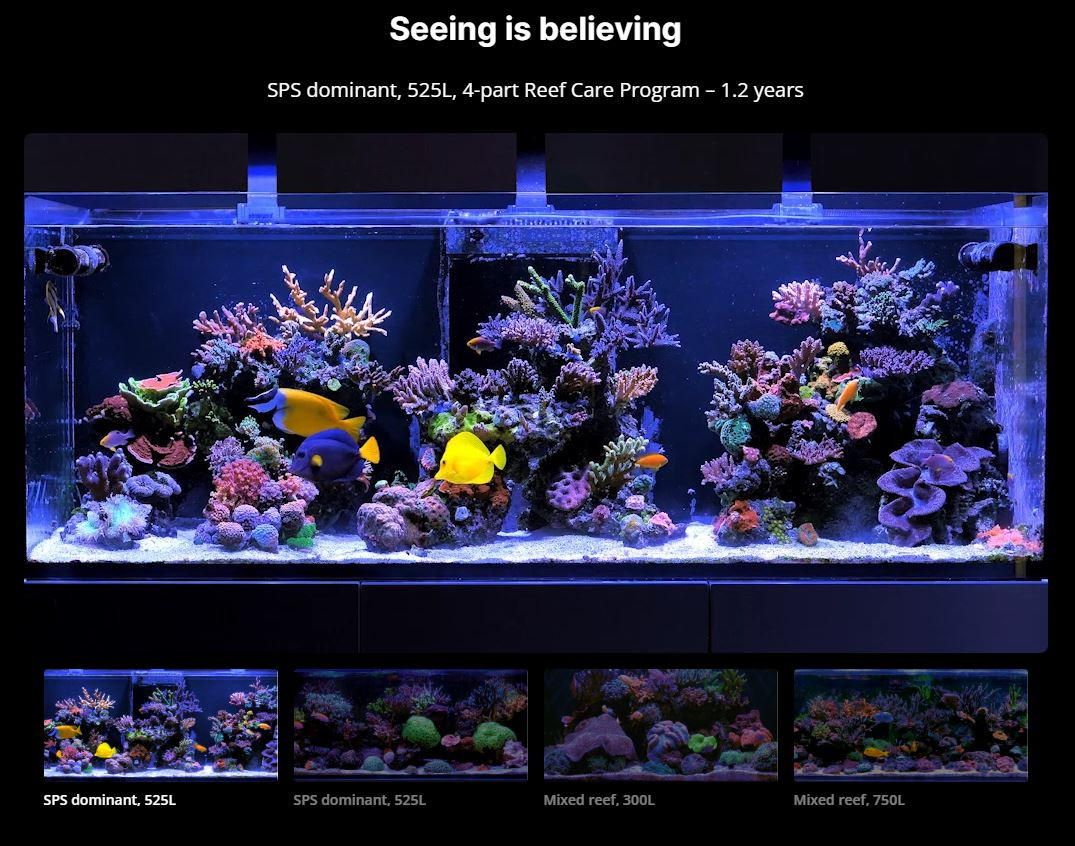 4-Part RCP Complete Reef Care Dosing System - Medium (300L - 80 Gal ...