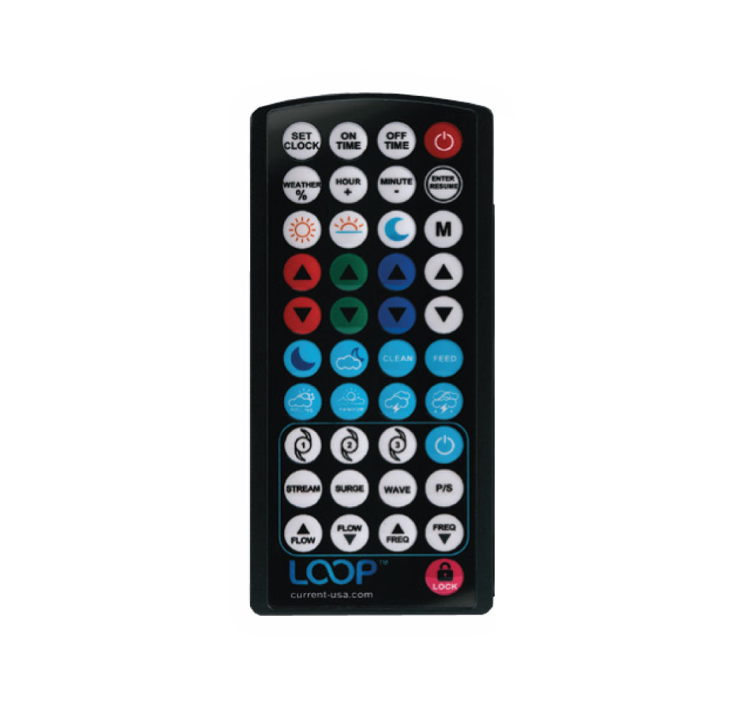 LOOP IC Controller Only - Optional Remote (1682) - Current USA ...