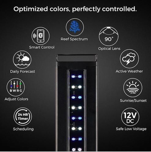 Orbit Marine 36"- 48" Bluetooth IC LOOP LED (4206) - Current USA ...