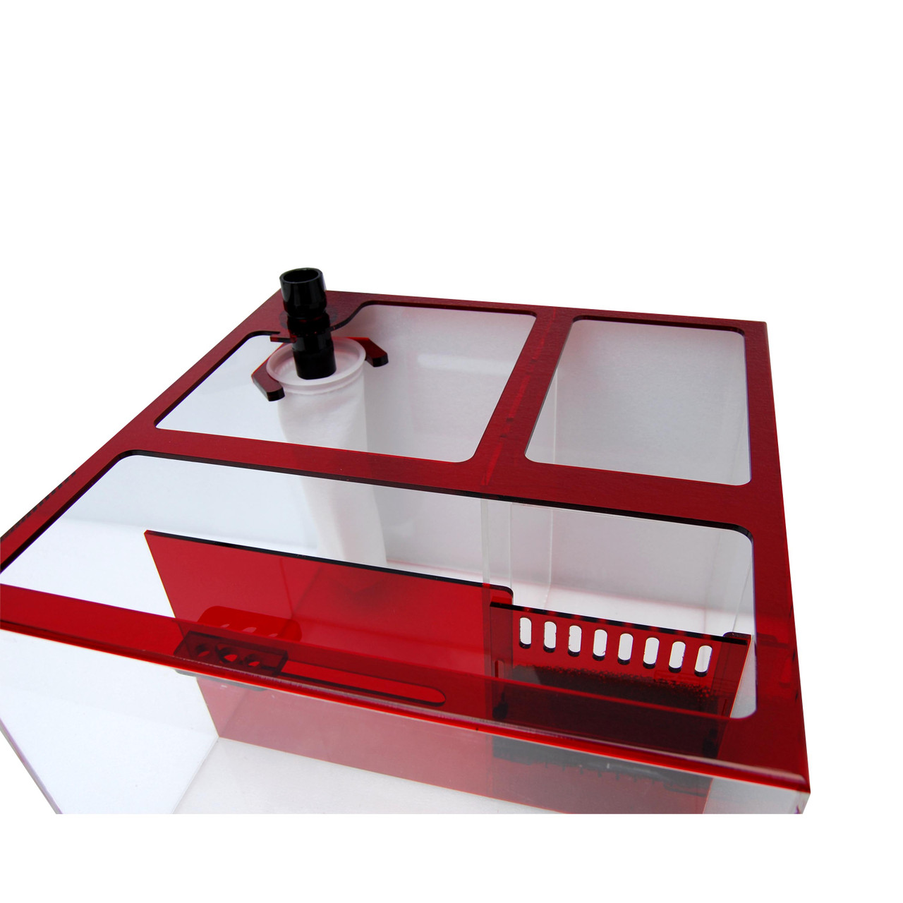 Ruby Cube Sump 20 (20" x 20") - Trigger Systems - SaltwaterAquarium.com