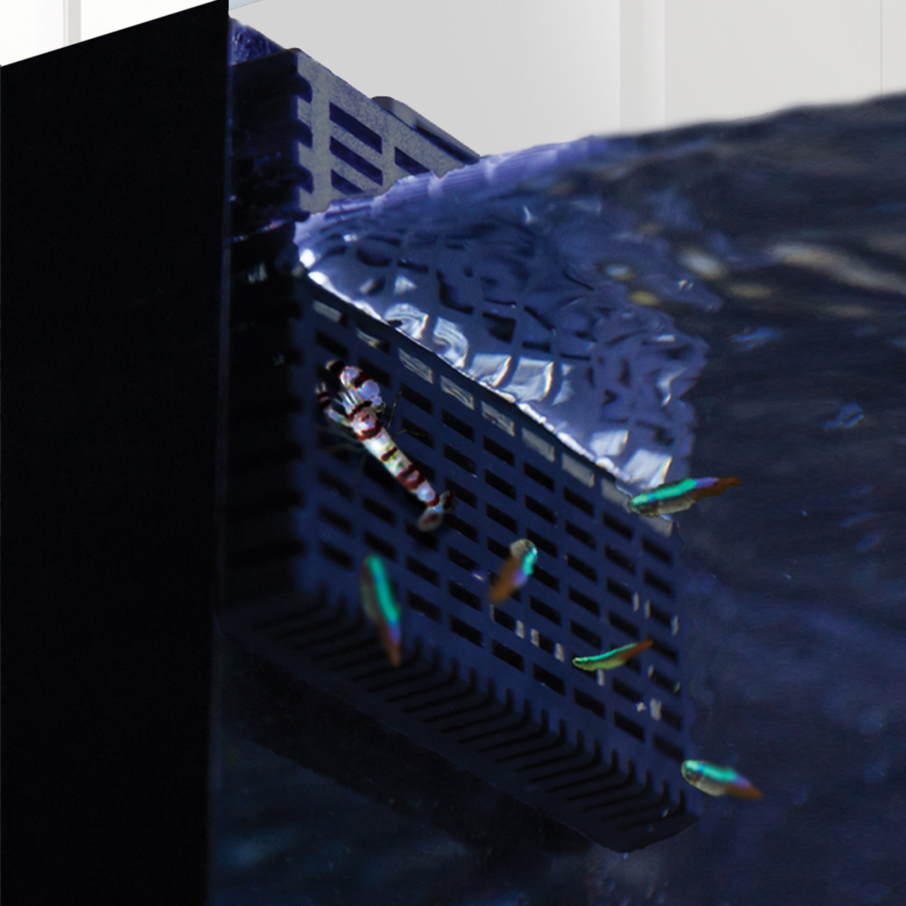 FishGuard AIO Overflow Protector (Midsize) - Innovative Marine ...