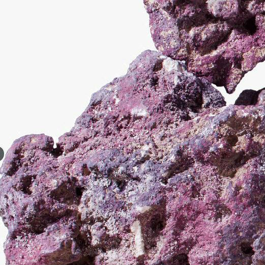 LifeRock Dry Live Rock (20 lb) - Caribsea - SaltwaterAquarium.com