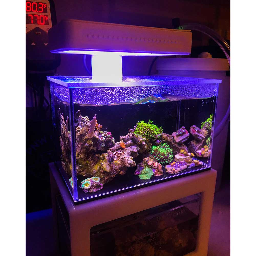 Micro Reef Ready Tank (0.3 Gallon) Standard (WHITE) - PNW Customs ...