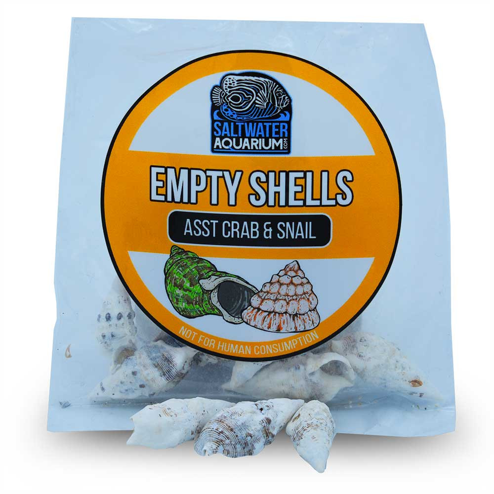 (50) Mixed Size & Shape Sterilized Aquarium Safe Empty Shells ...