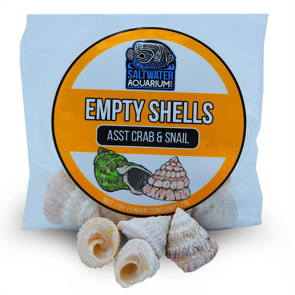 (200) Mixed Size & Shape Sterilized Aquarium Safe Empty Shells ...