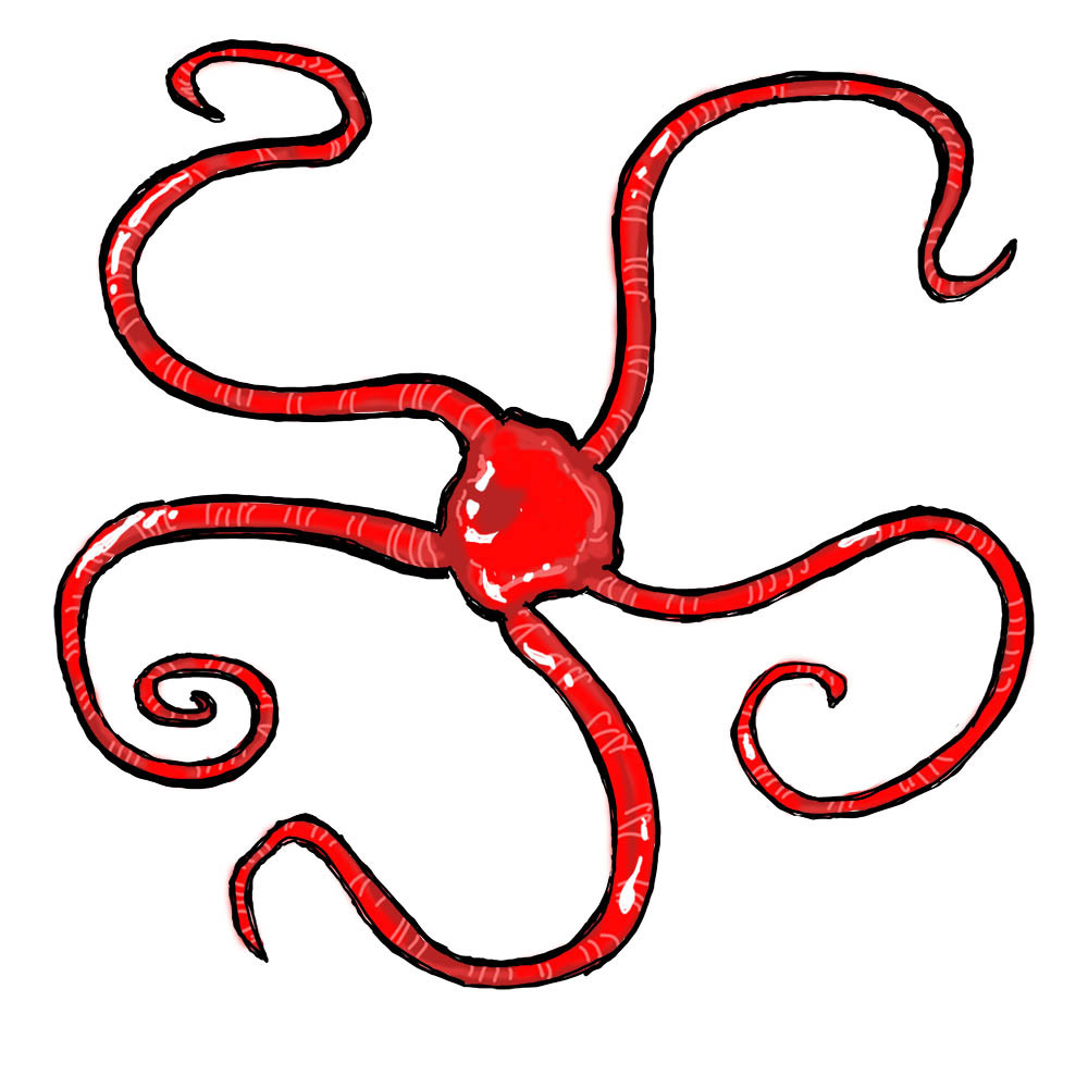 Bright Red Serpent Starfish - Cleanup Crew - SaltwaterAquarium.com