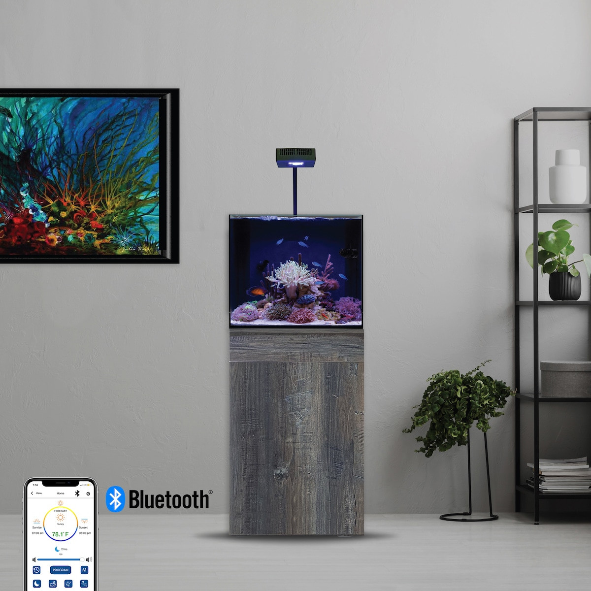 Orbit Marine R24 (52 Watt) Bluetooth Aquarium Light w/Mount (4410 ...