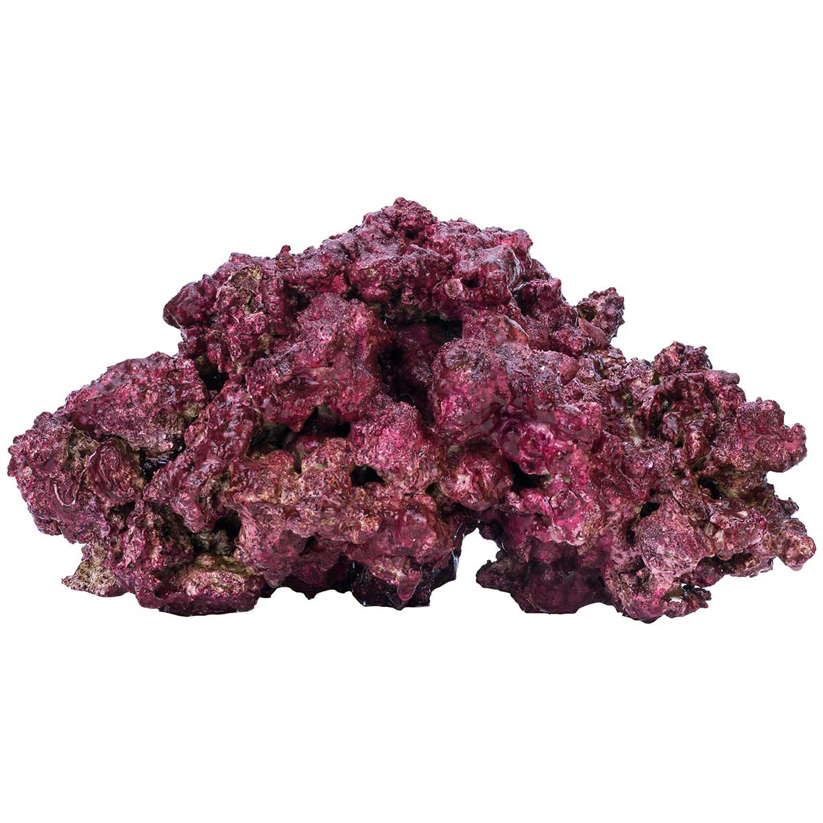 Live Rock - Wet & Dry for Saltwater & Freshwater Aquariums
