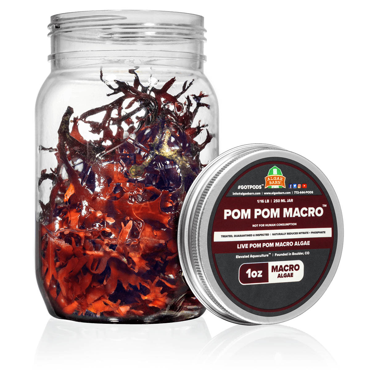 AlgaeBarn Products - SaltwaterAquarium.com
