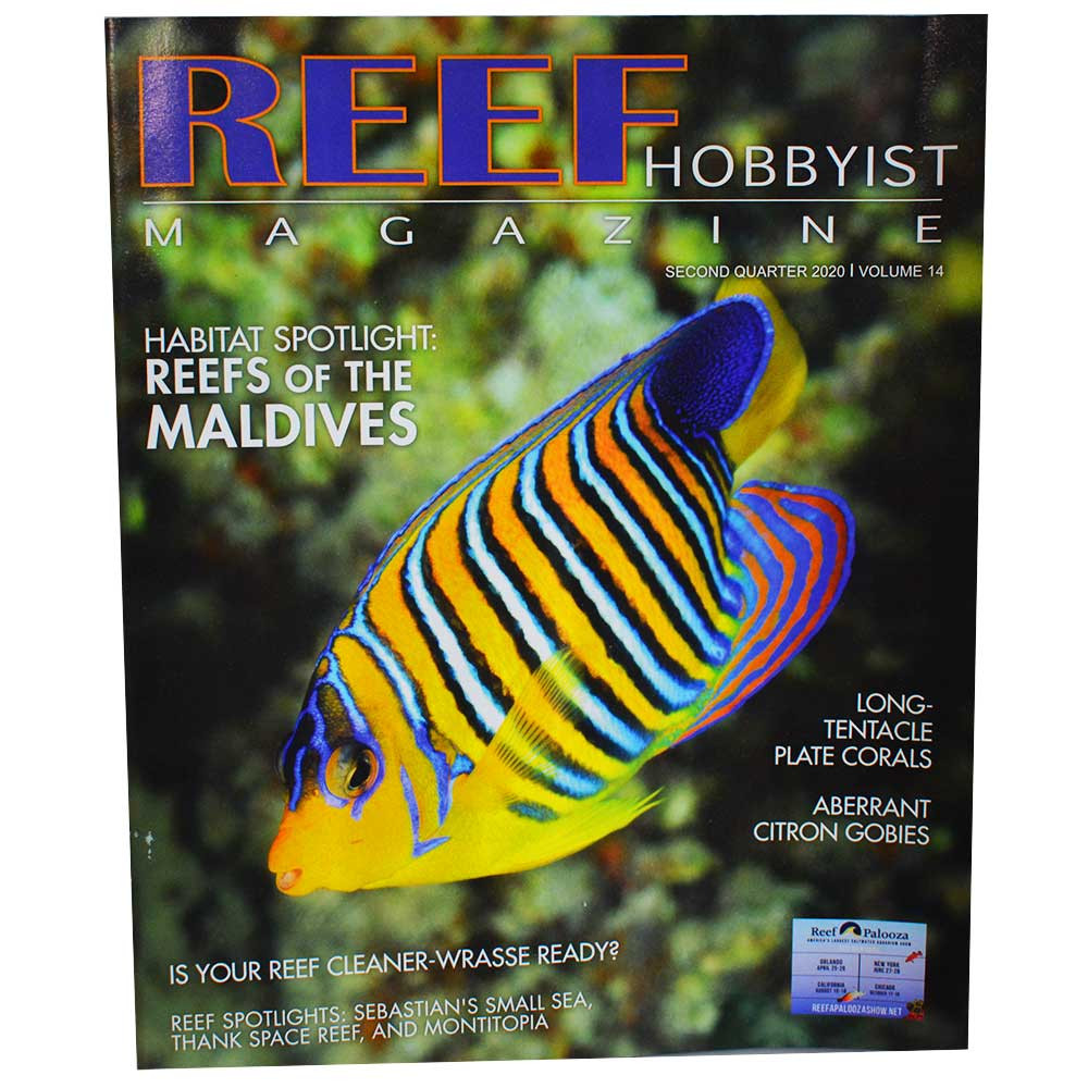Specialty - Art - Printed Media - SaltwaterAquarium.com