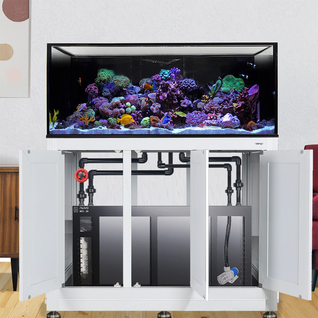 Aquariums - Innovative Marine - INT Reef Ready - SaltwaterAquarium.com