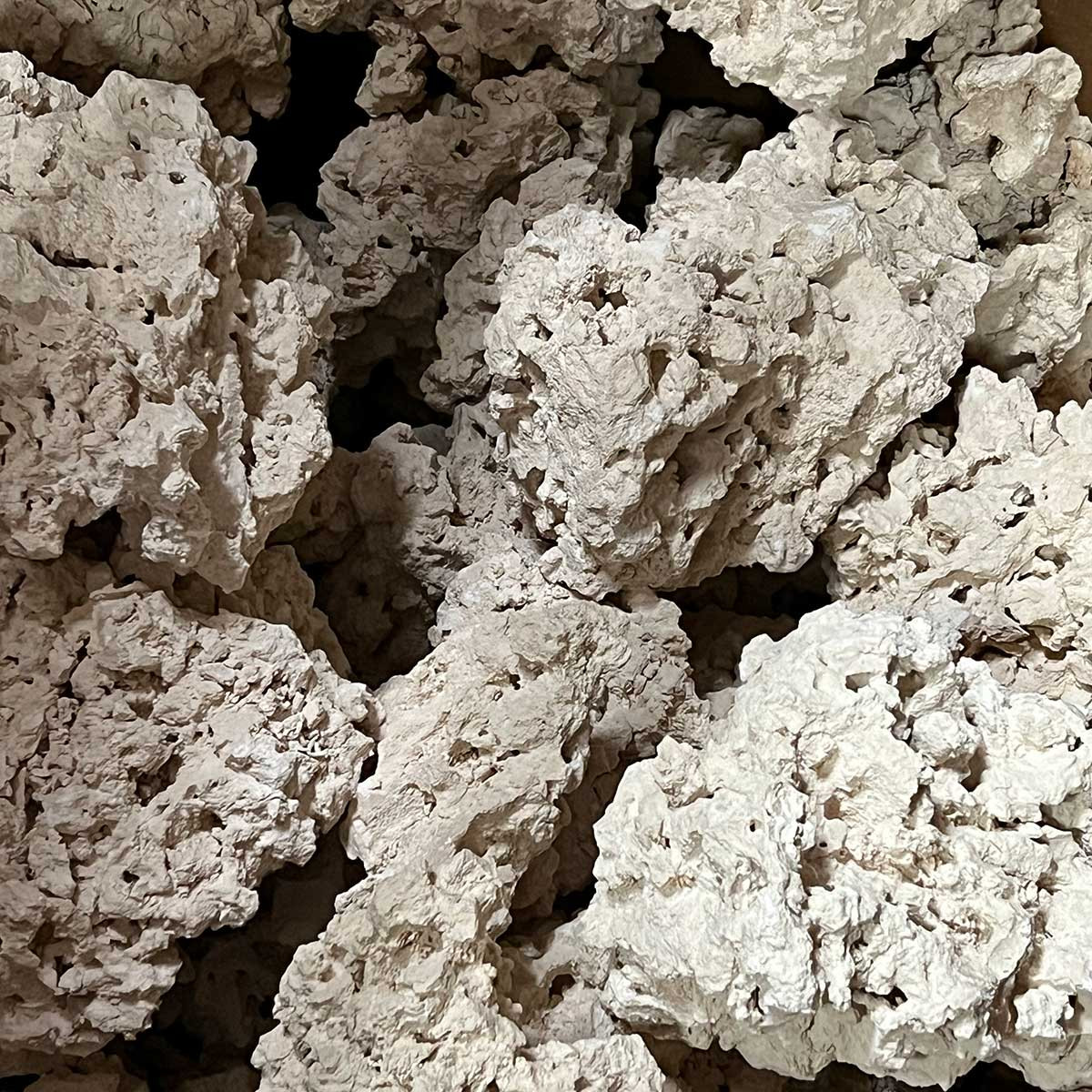 Live Rock - Wet & Dry for Saltwater & Freshwater Aquariums