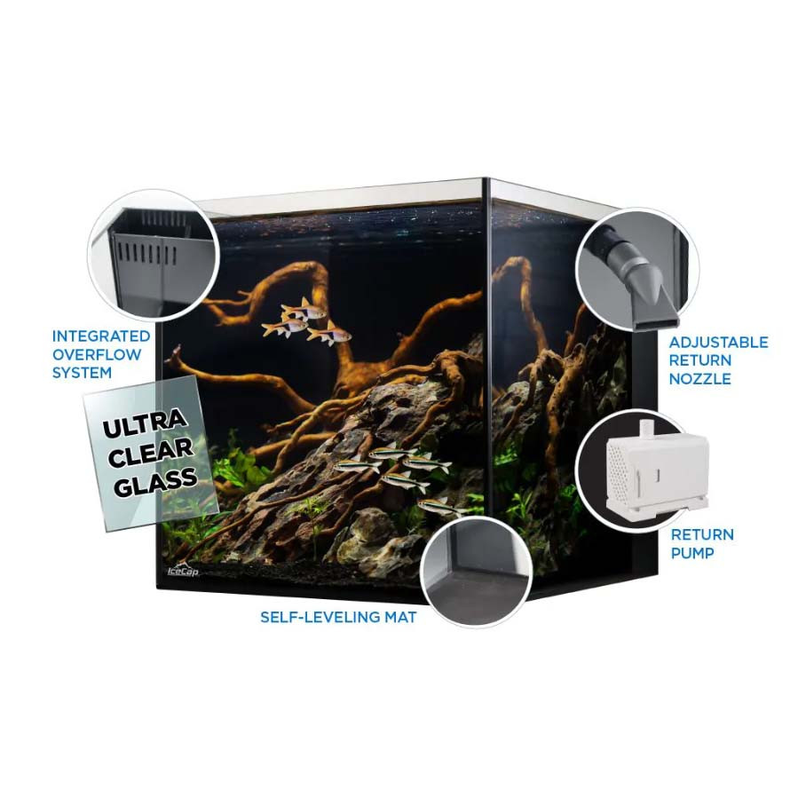 20 Gallon Cube AIO Rimless Glass Aquarium - IceCap - SaltwaterAquarium.com