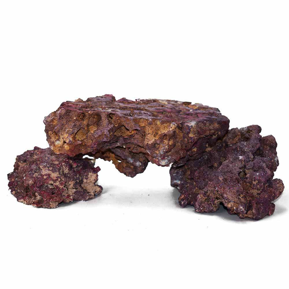 Aquascaping - Rock - Shelf Rock - SaltwaterAquarium.com