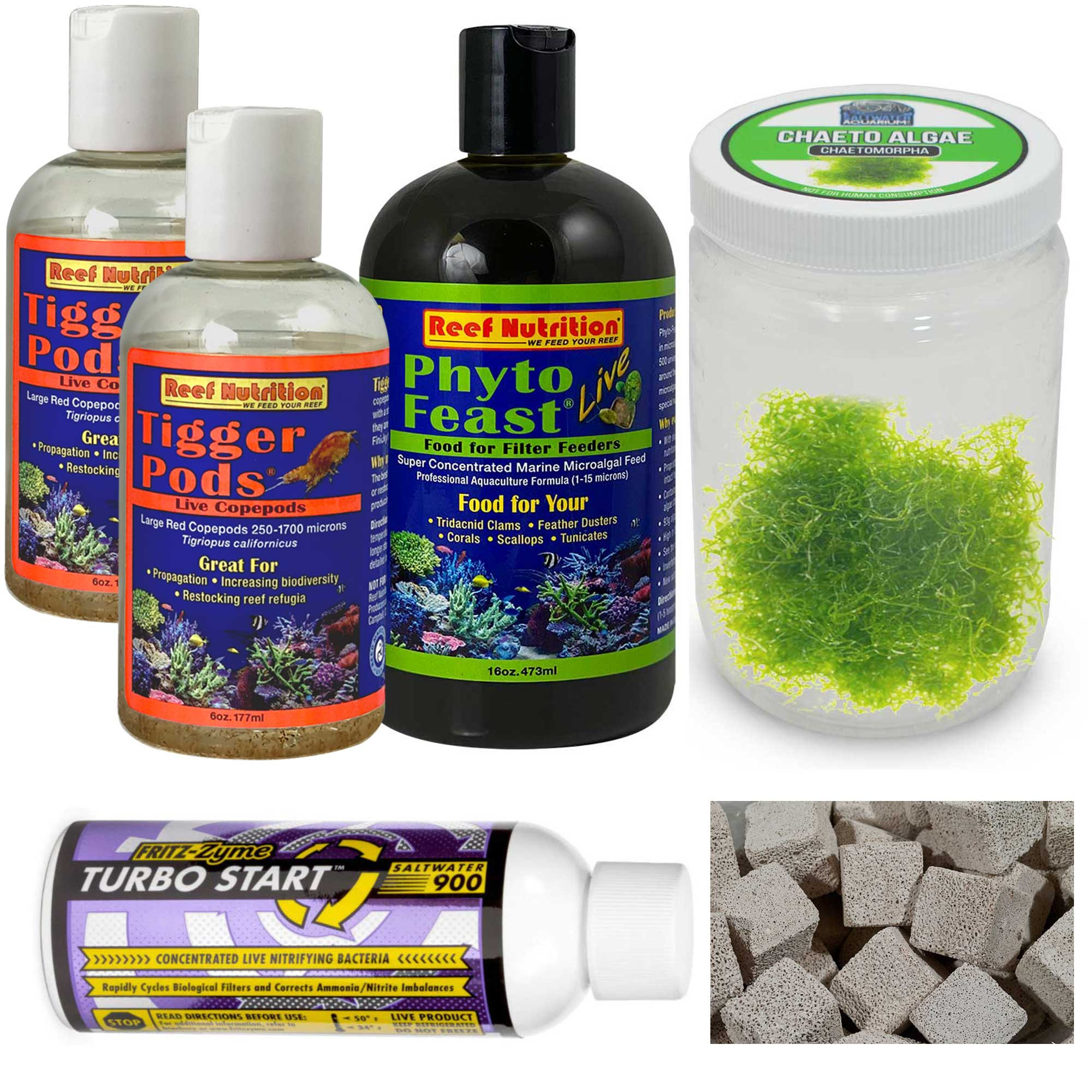 Live - Algae - Refugium Kits - SaltwaterAquarium.com