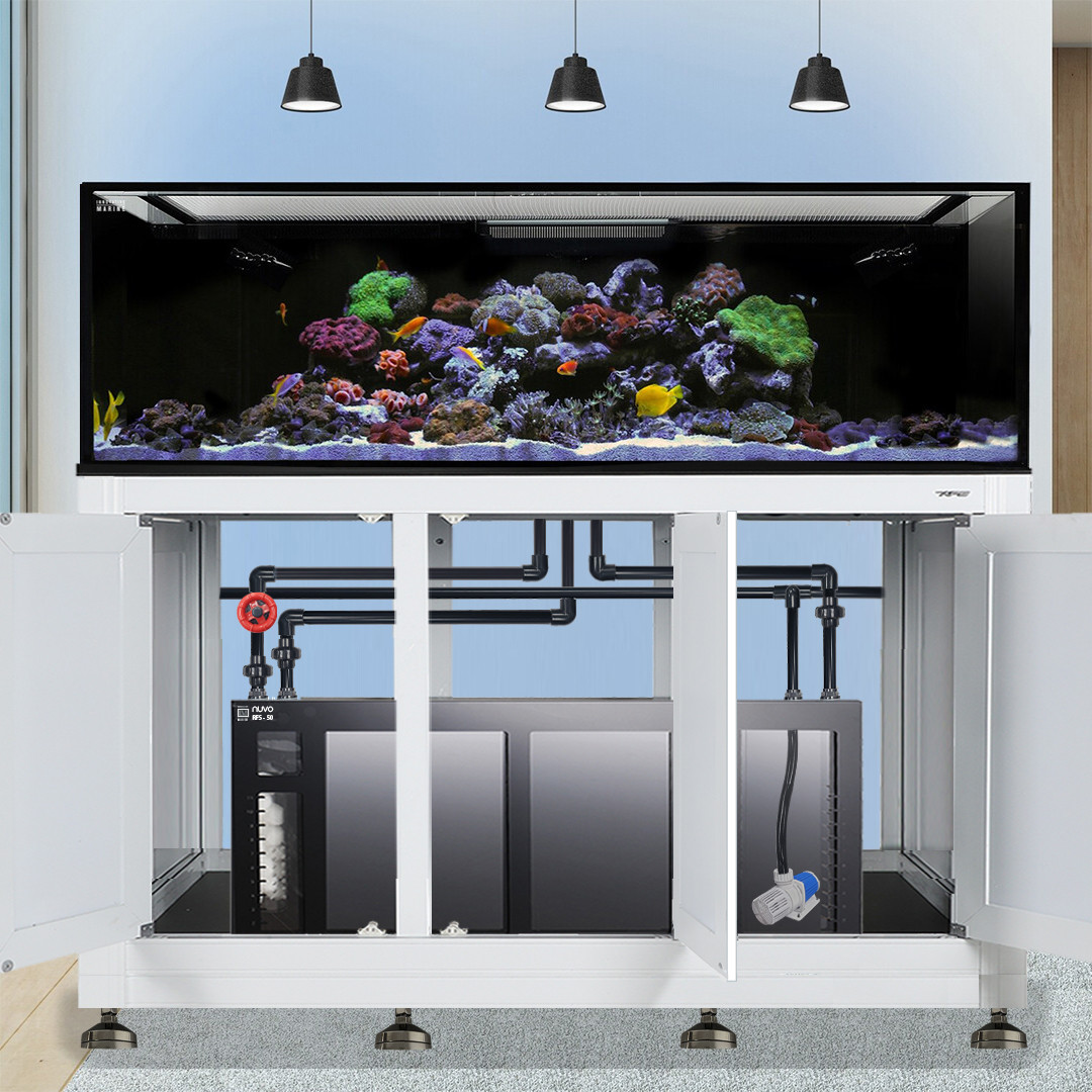 Aquariums - Innovative Marine - EXT Reef Ready - SaltwaterAquarium.com