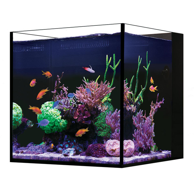 Red Sea Aquarium Systems